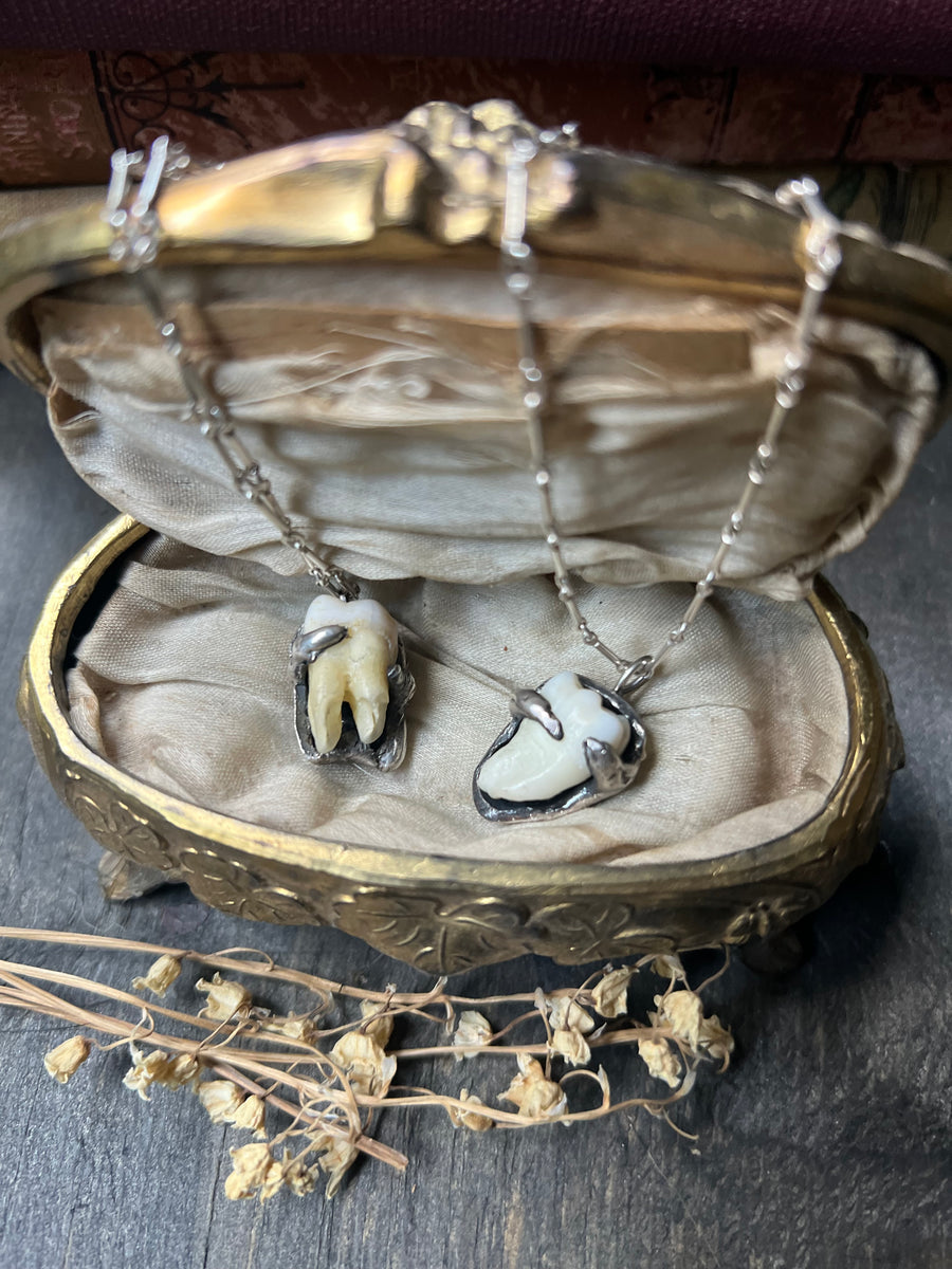 Human tooth necklace – Astralchemy